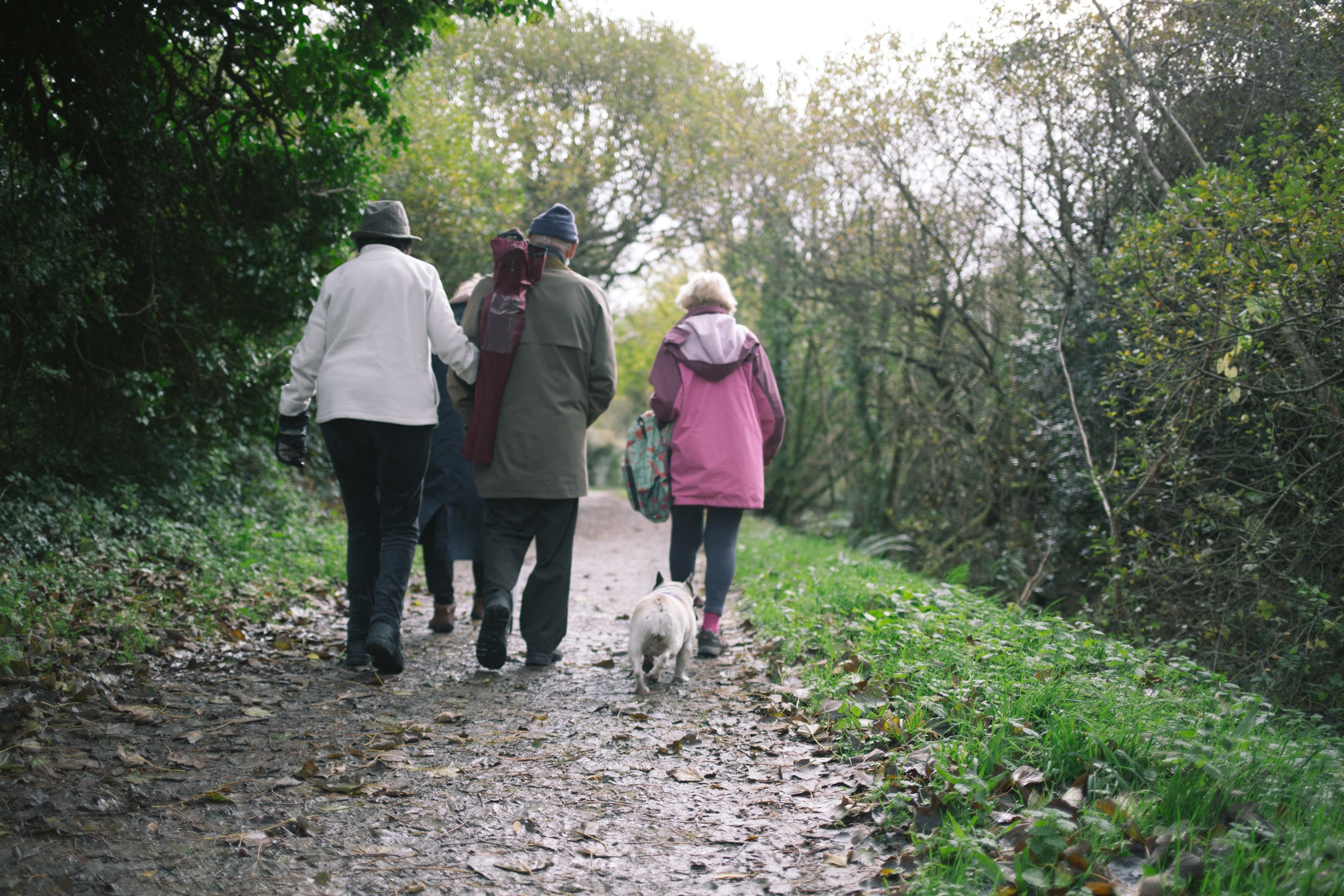 Sensory Trust paths and routes guidance