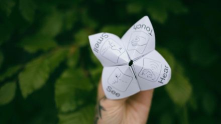 Nature Activity Ideas for All Ages – Sensory Trust