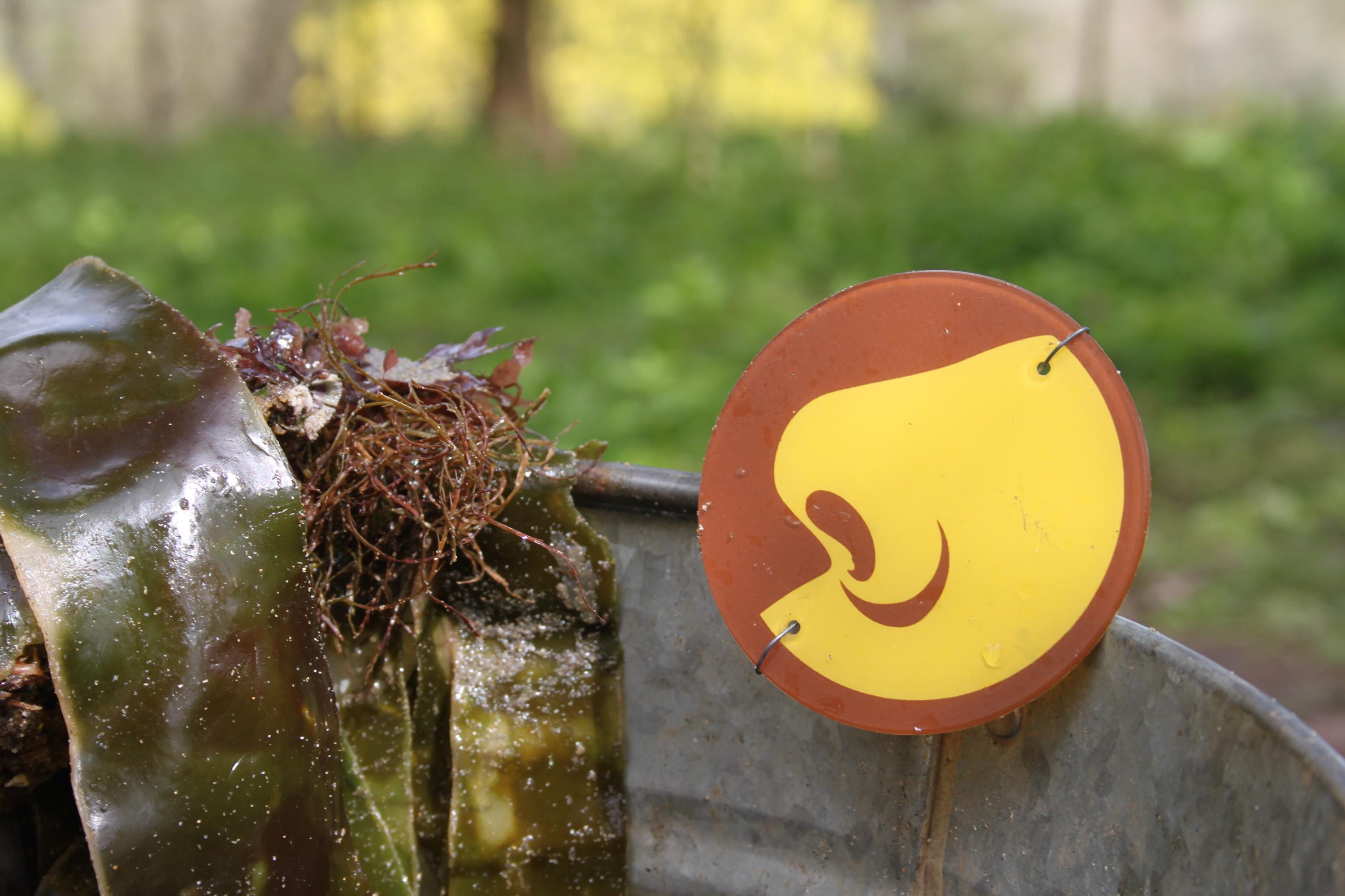 Sensory trail design